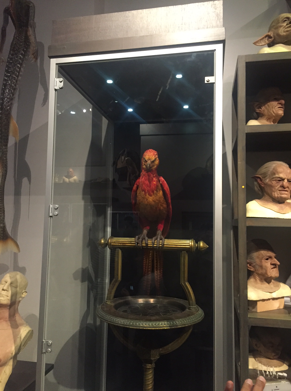 fawkes – the fleur and flour